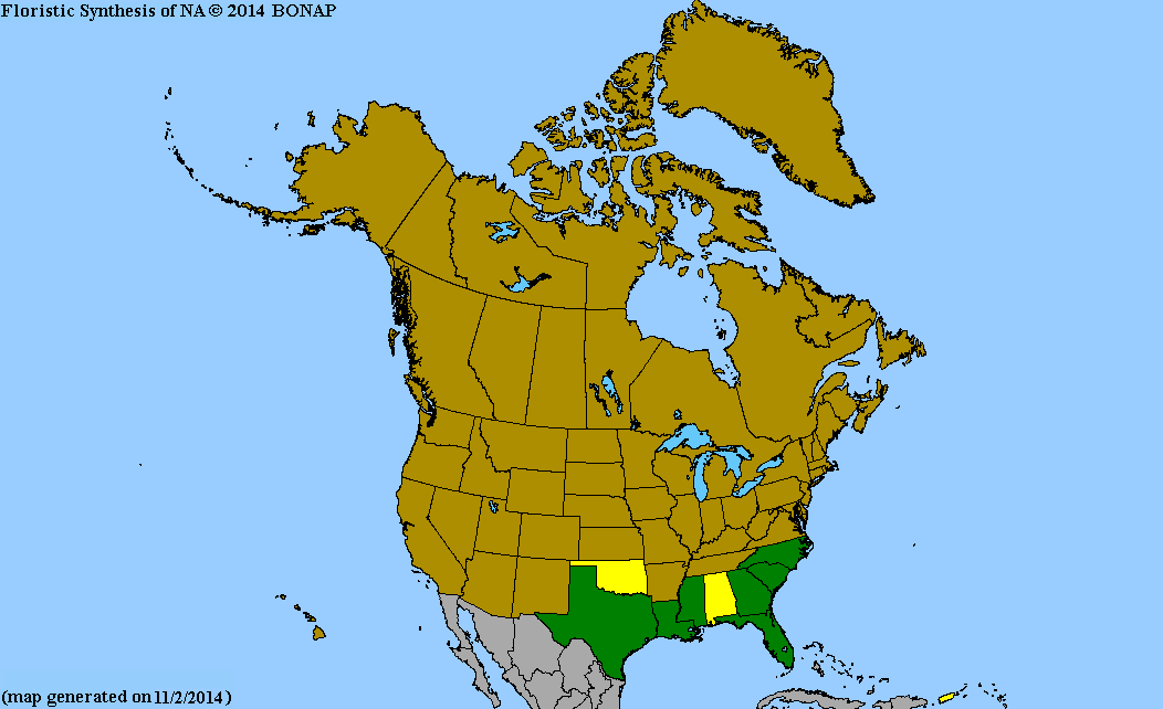 2013 BONAP North American Plant Atlas. TaxonMaps