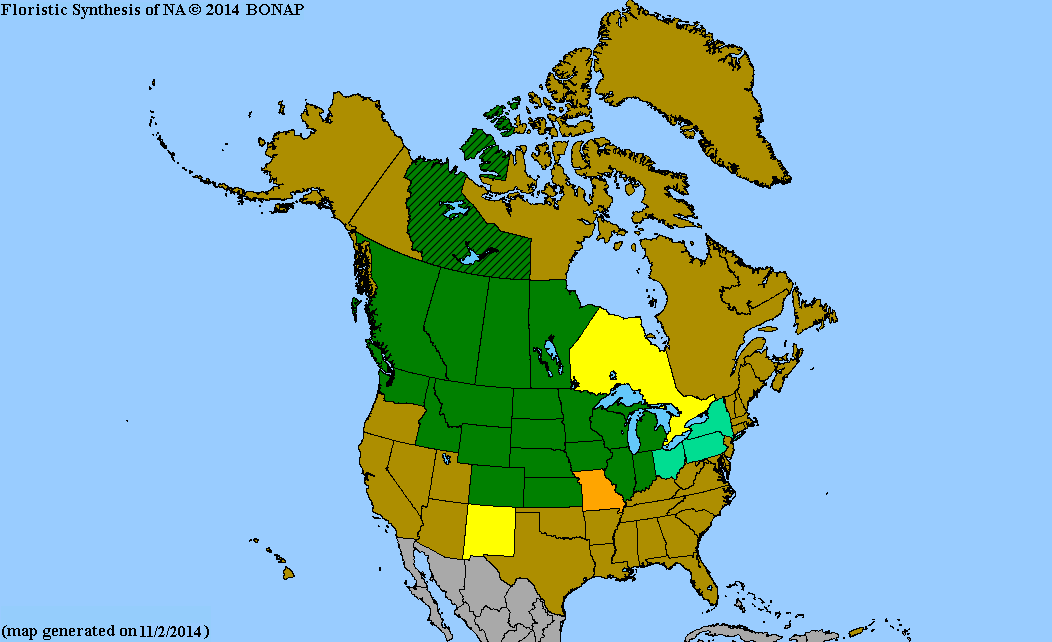 2013 BONAP North American Plant Atlas. TaxonMaps