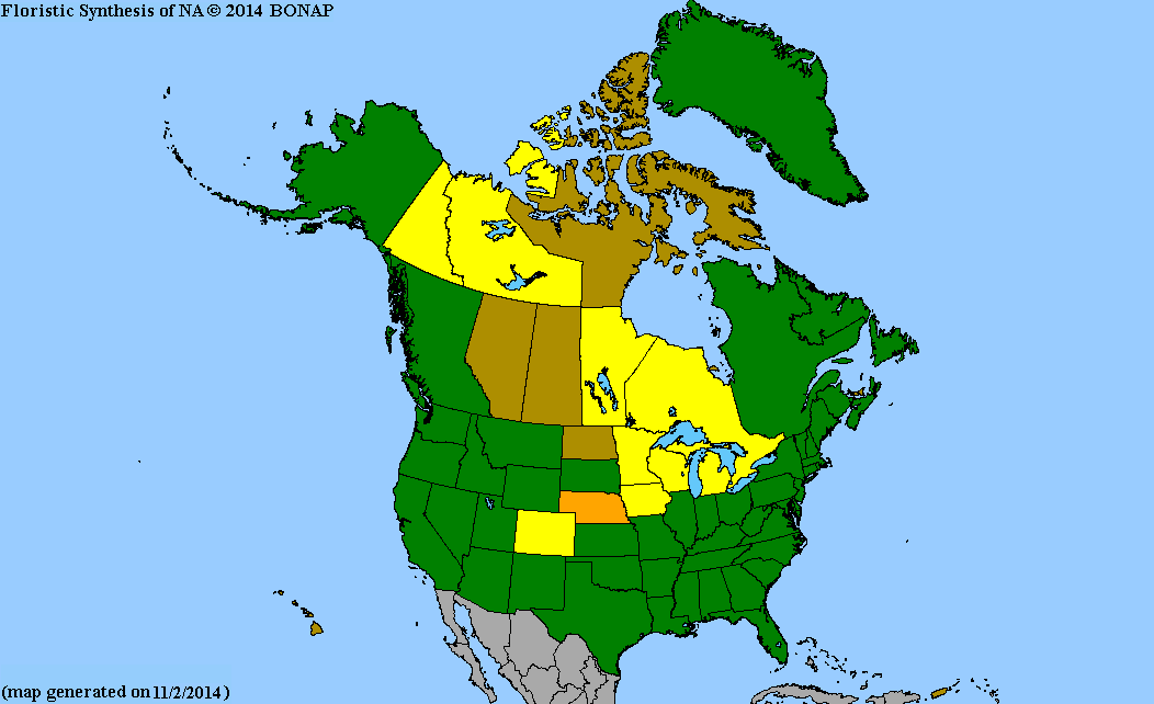 2013 BONAP North American Plant Atlas. TaxonMaps