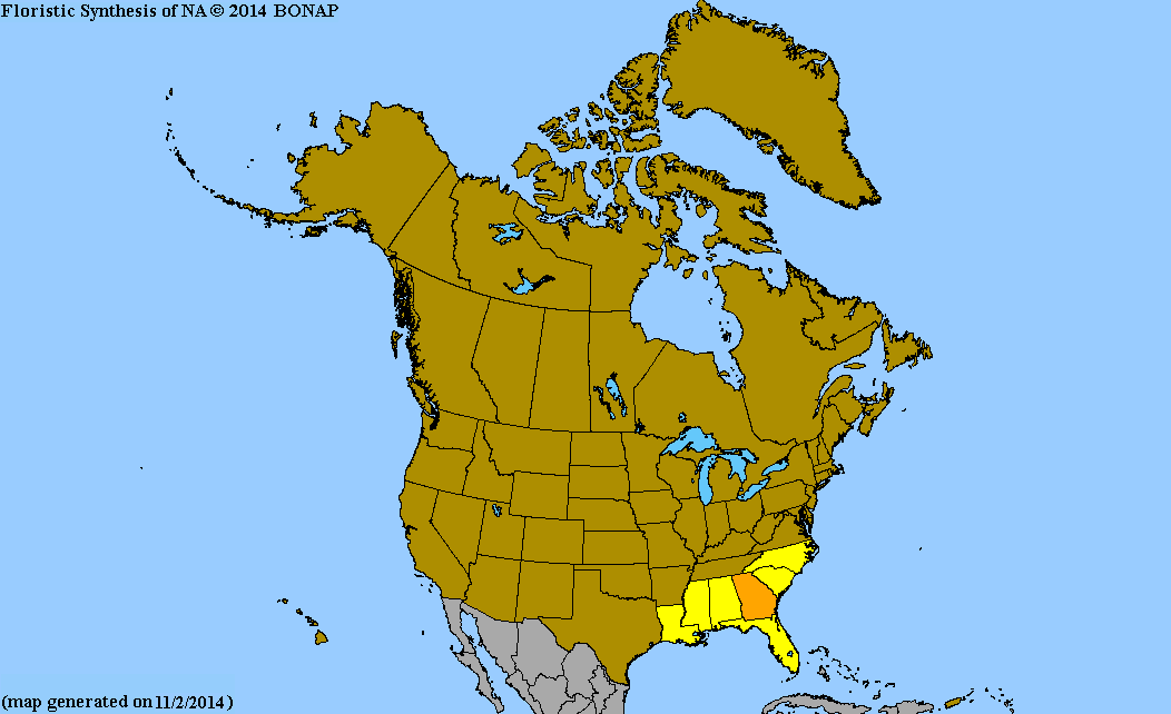 2013 BONAP North American Plant Atlas. TaxonMaps