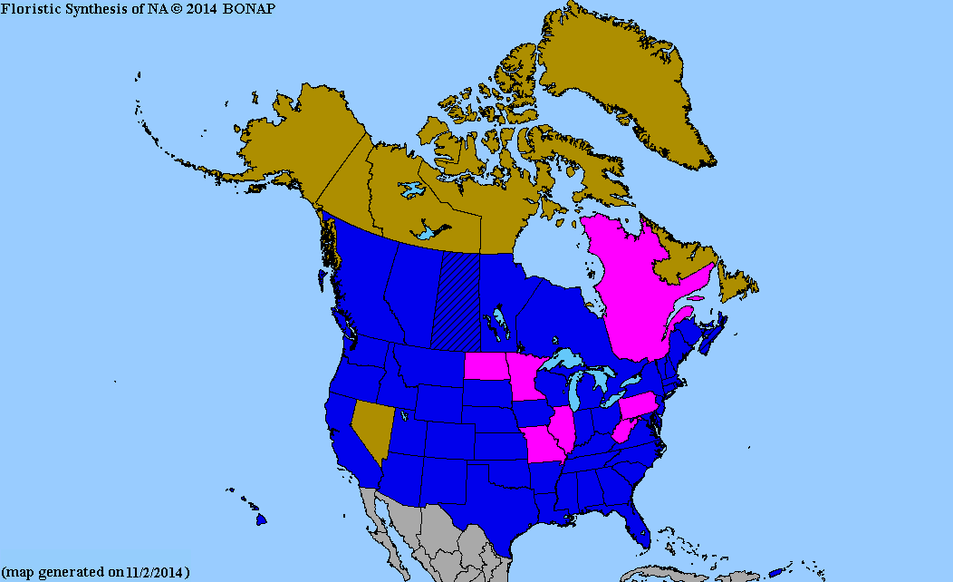 2013 BONAP North American Plant Atlas. TaxonMaps