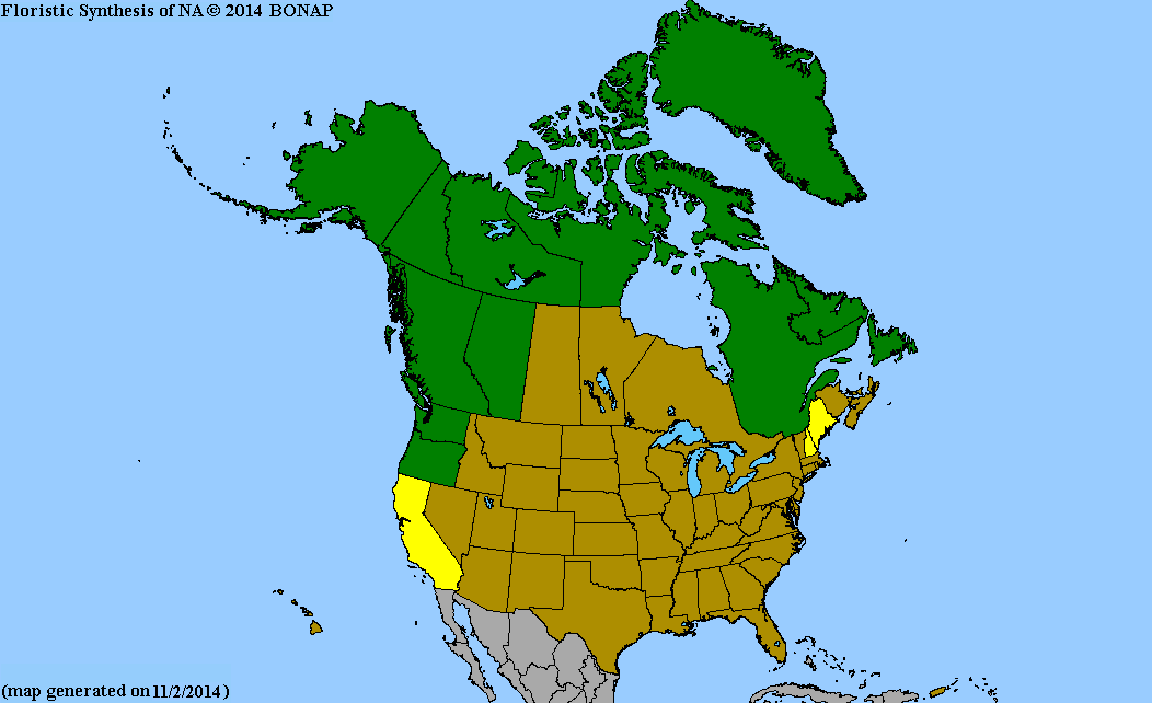 2013 BONAP North American Plant Atlas. TaxonMaps