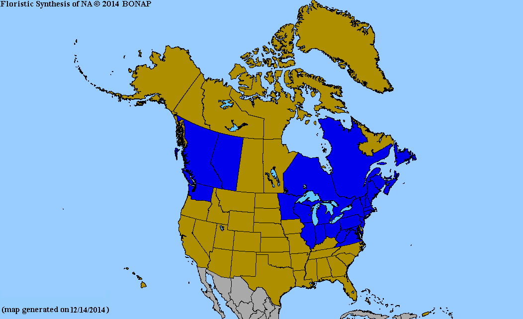 2013 BONAP North American Plant Atlas. TaxonMaps