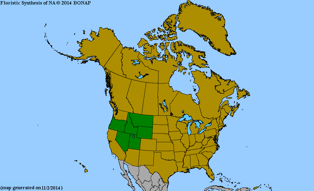 2013 BONAP North American Plant Atlas. TaxonMaps