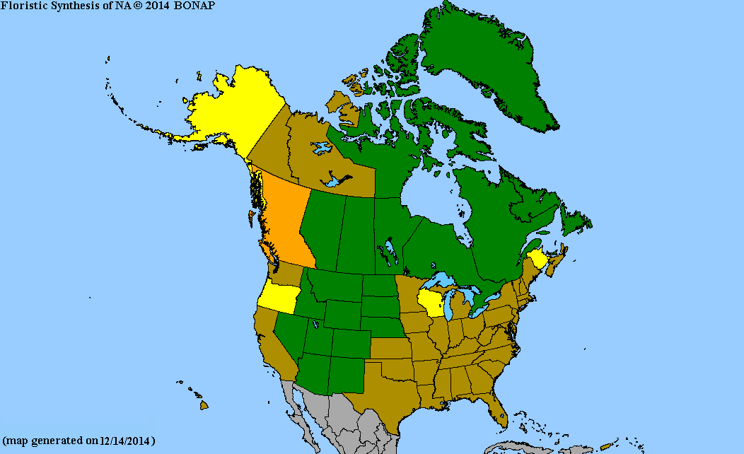2013 BONAP North American Plant Atlas. TaxonMaps