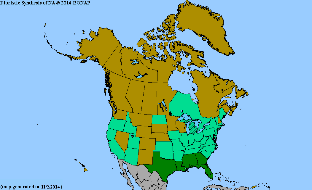 2013 BONAP North American Plant Atlas. TaxonMaps