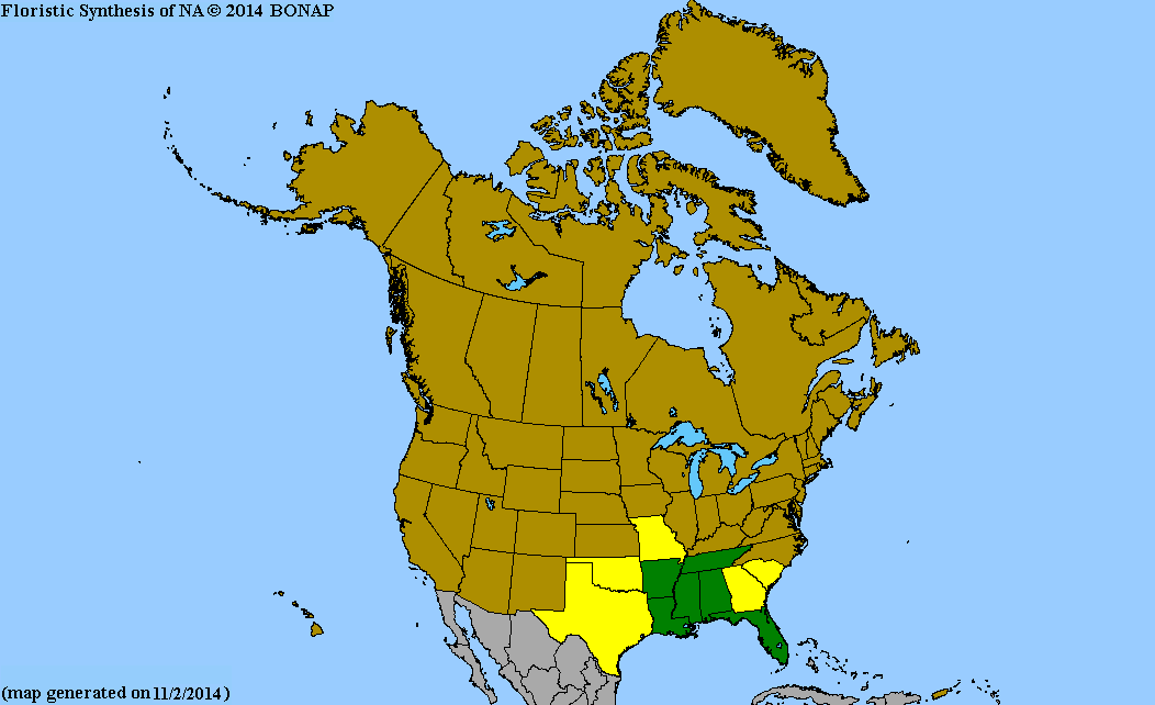 2013 BONAP North American Plant Atlas. TaxonMaps