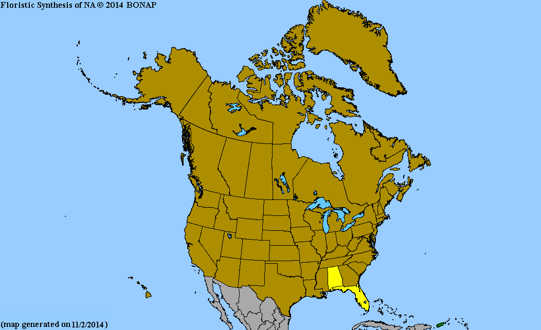 2013 BONAP North American Plant Atlas. TaxonMaps