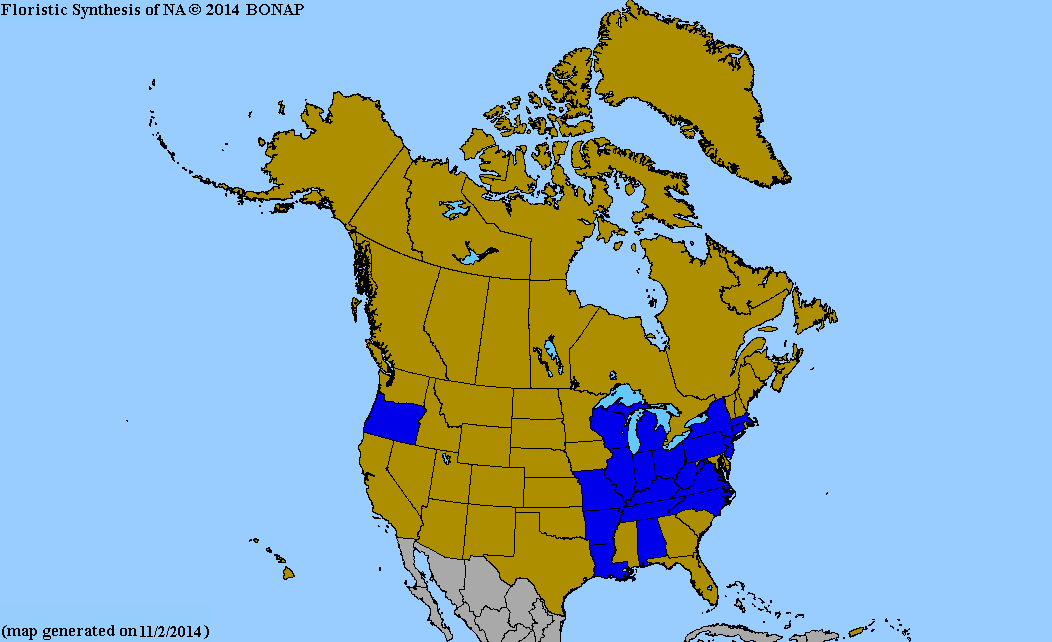 2013 BONAP North American Plant Atlas. TaxonMaps