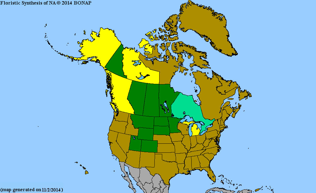 2013 BONAP North American Plant Atlas. TaxonMaps