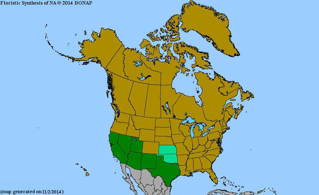 2013 BONAP North American Plant Atlas. TaxonMaps