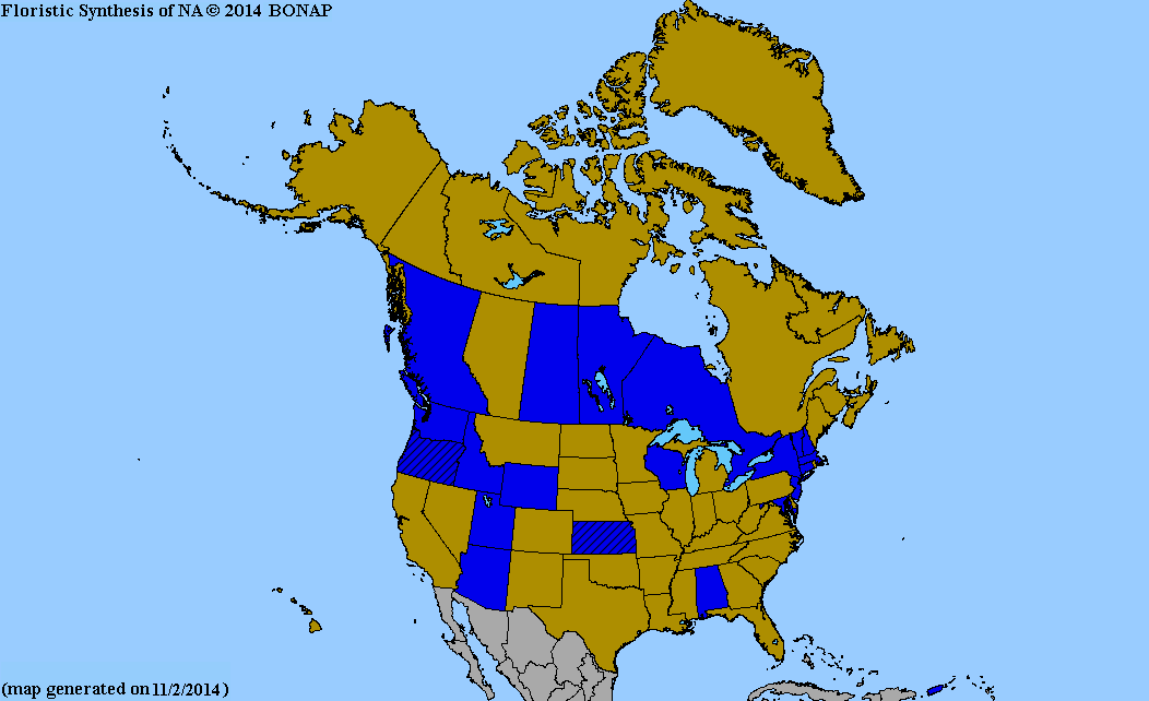 2013 BONAP North American Plant Atlas. TaxonMaps