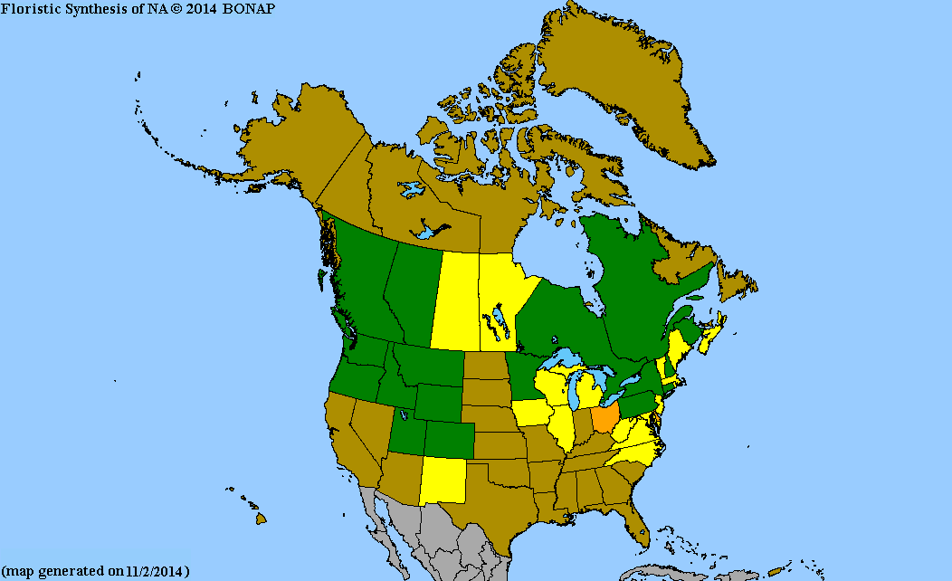 2013 BONAP North American Plant Atlas. TaxonMaps