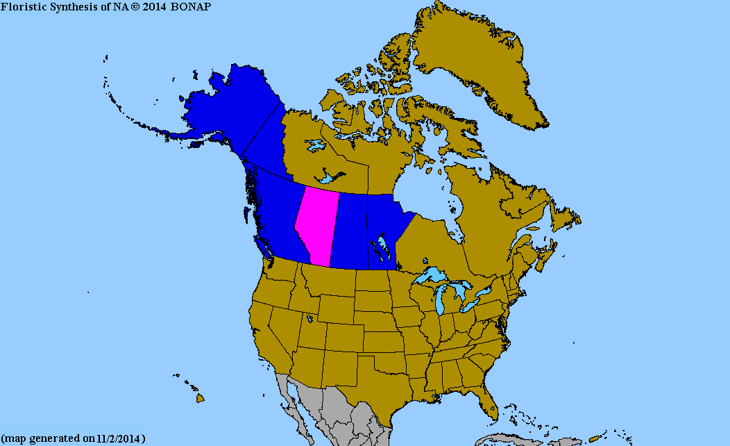 2013 BONAP North American Plant Atlas. TaxonMaps