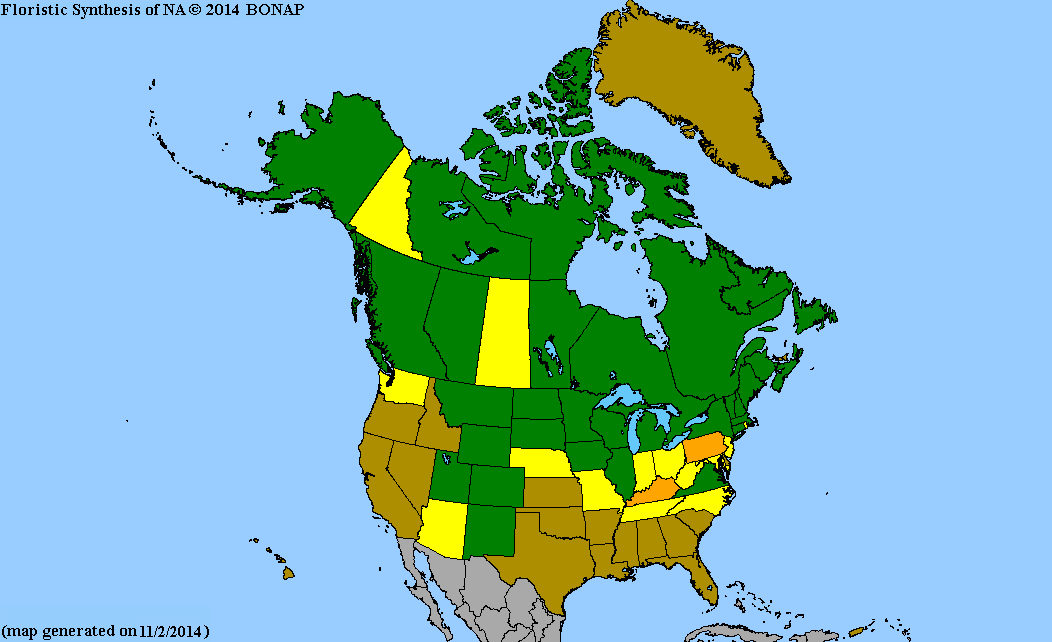2013 BONAP North American Plant Atlas. TaxonMaps