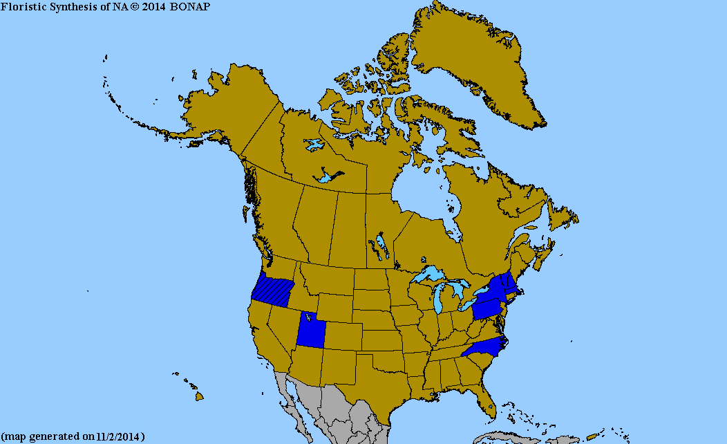 2013 BONAP North American Plant Atlas. TaxonMaps