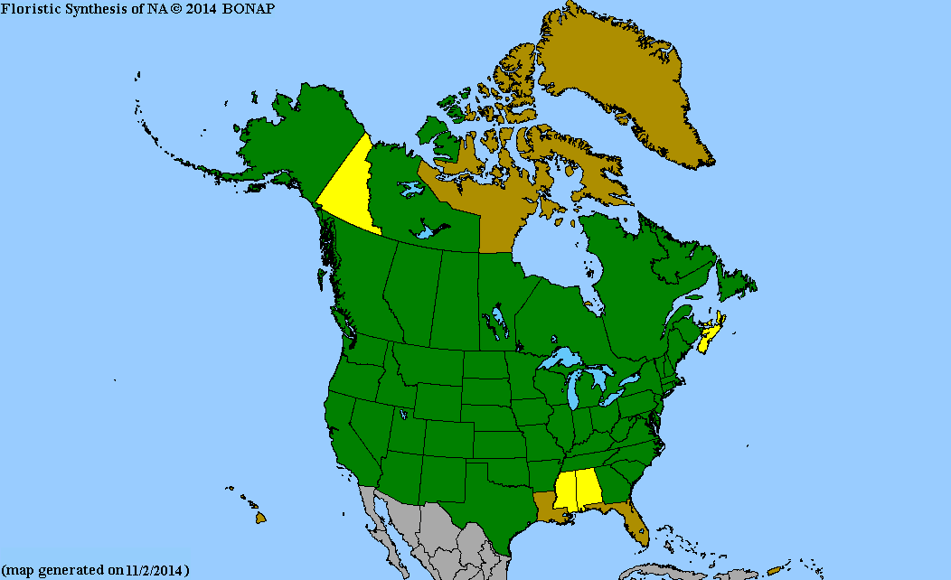 2013 BONAP North American Plant Atlas. TaxonMaps