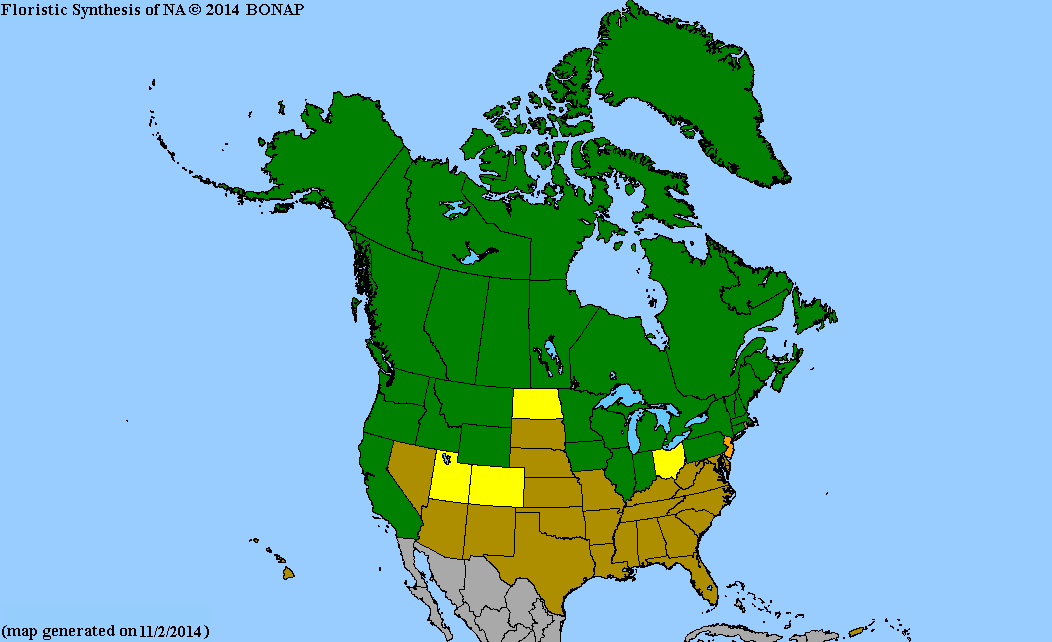 2013 BONAP North American Plant Atlas. TaxonMaps