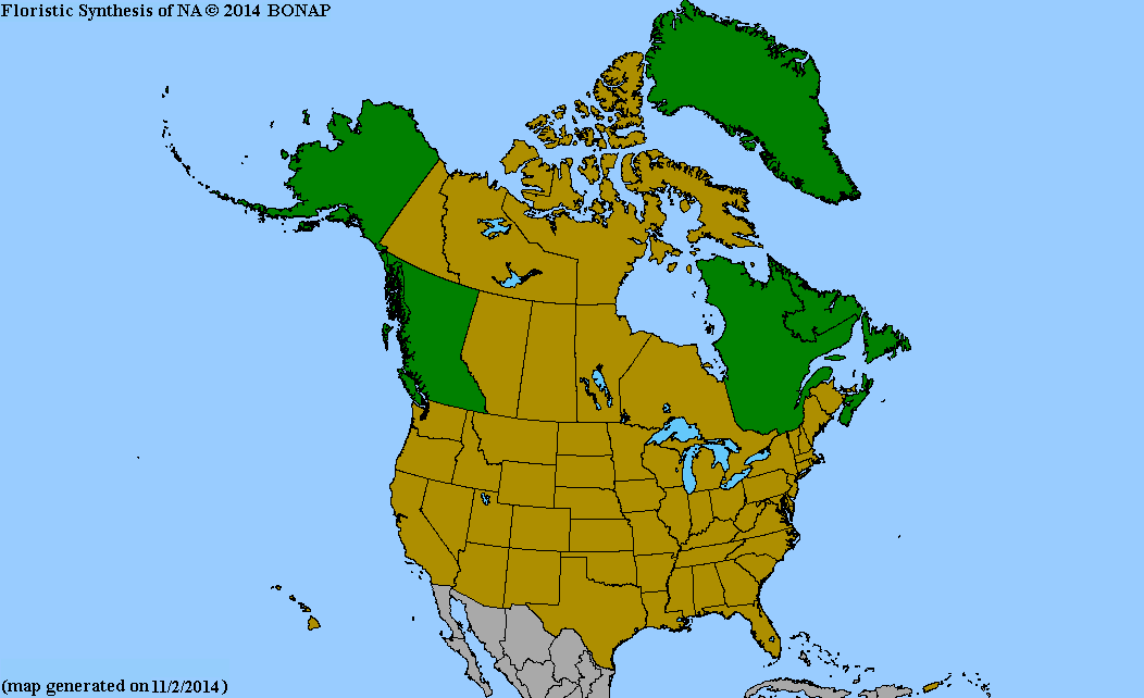 2013 BONAP North American Plant Atlas. TaxonMaps