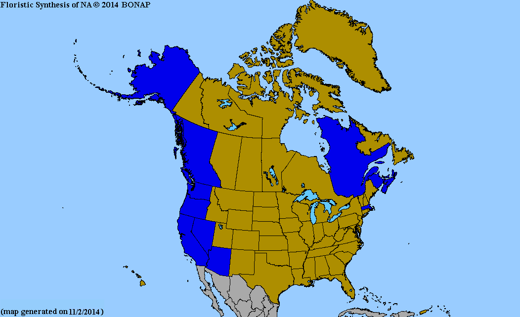 2013 BONAP North American Plant Atlas. TaxonMaps