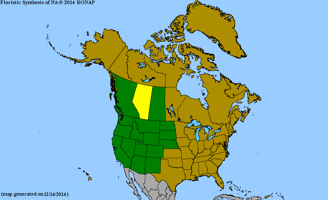 2013 BONAP North American Plant Atlas. TaxonMaps