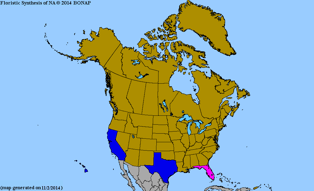 2013 BONAP North American Plant Atlas. TaxonMaps