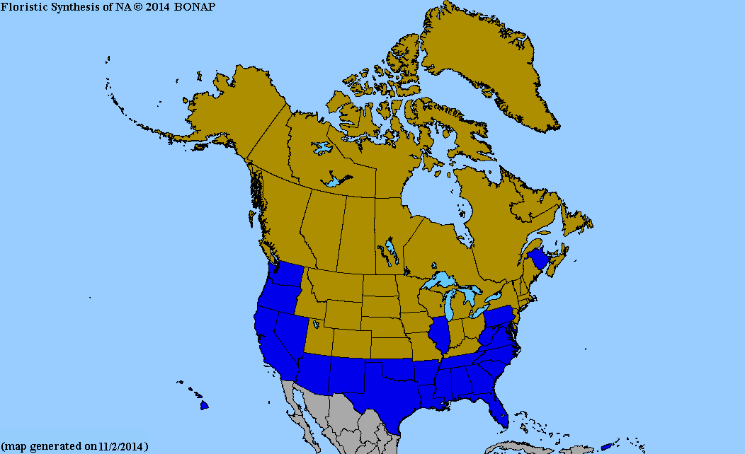 2013 BONAP North American Plant Atlas. TaxonMaps