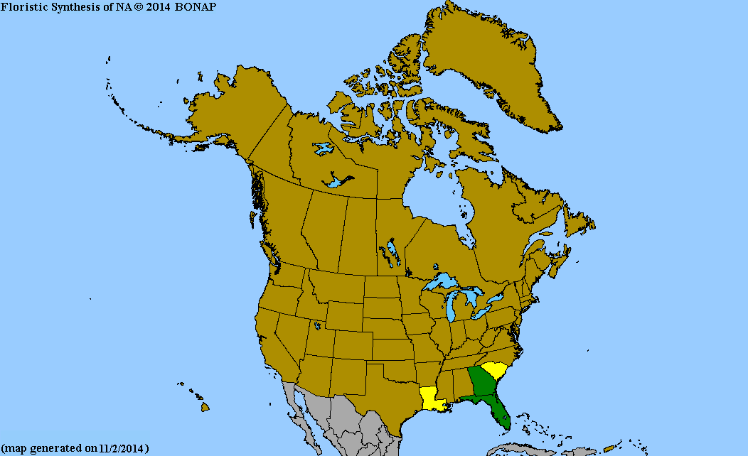 2013 BONAP North American Plant Atlas. TaxonMaps