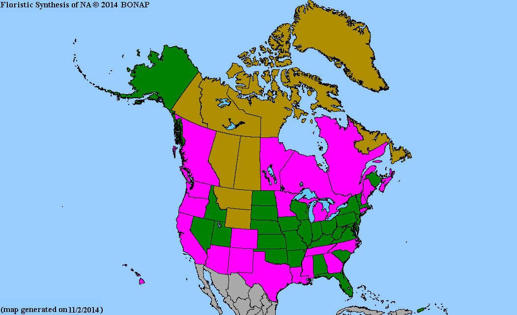 2013 BONAP North American Plant Atlas. TaxonMaps