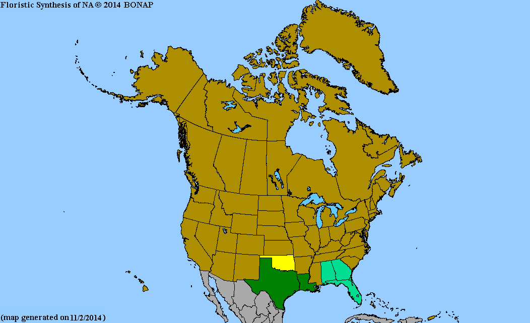 2013 BONAP North American Plant Atlas. TaxonMaps