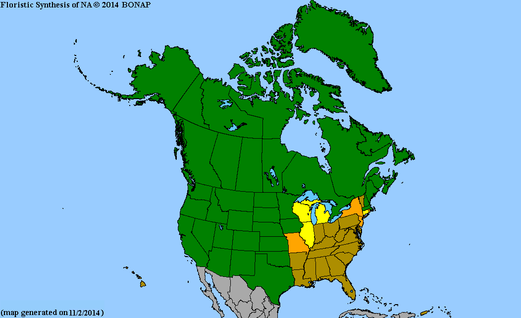 2013 BONAP North American Plant Atlas. TaxonMaps