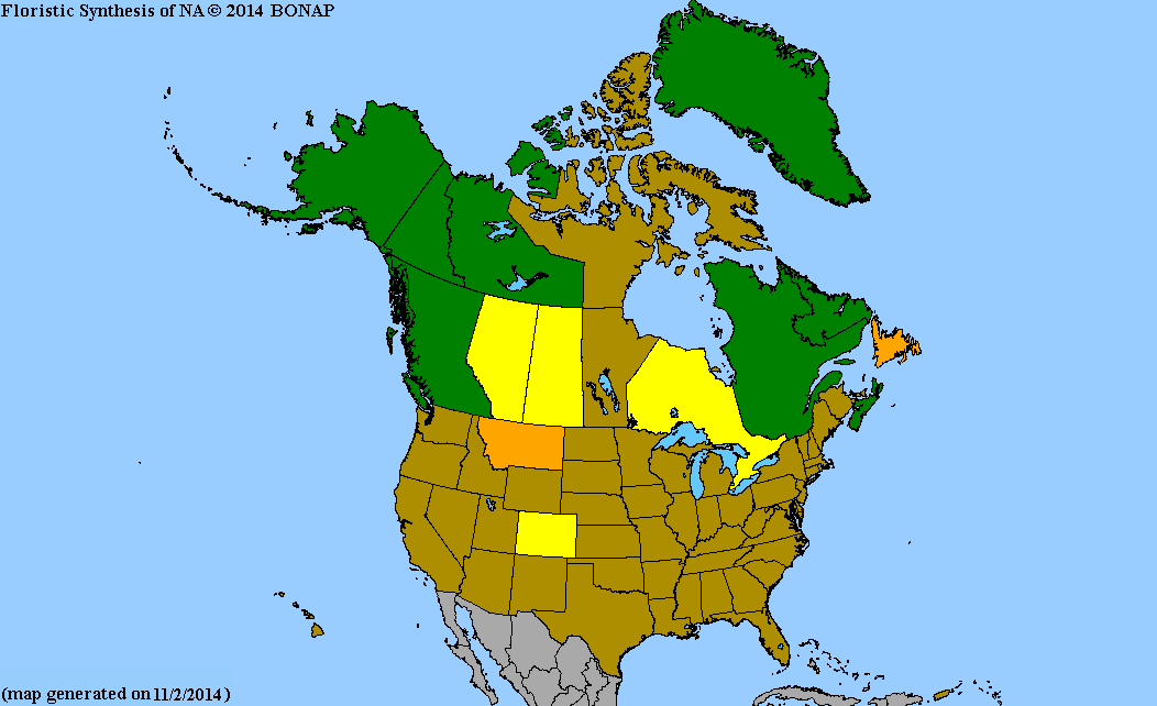 2013 BONAP North American Plant Atlas. TaxonMaps