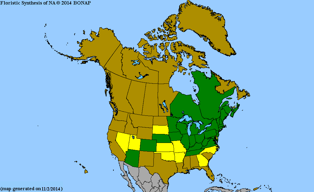 2013 BONAP North American Plant Atlas. TaxonMaps