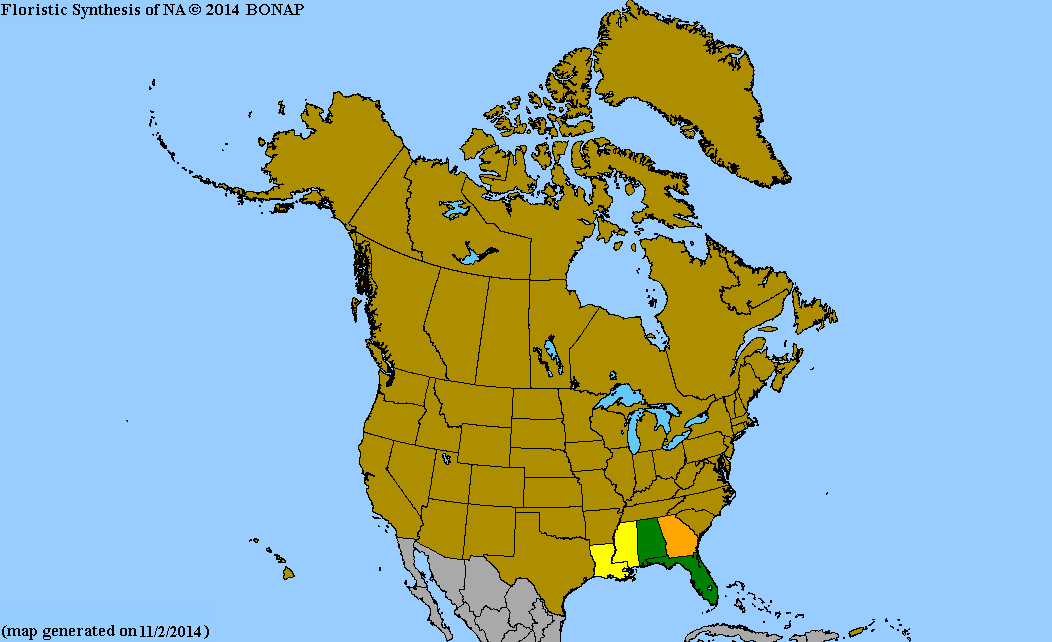 2013 BONAP North American Plant Atlas. TaxonMaps