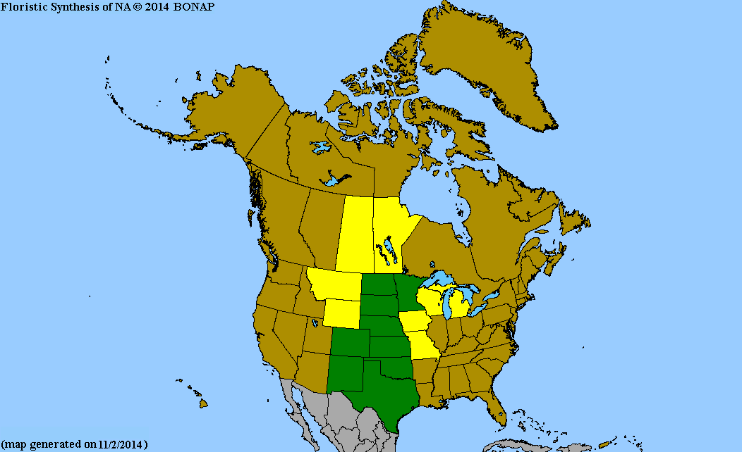 2013 BONAP North American Plant Atlas. TaxonMaps