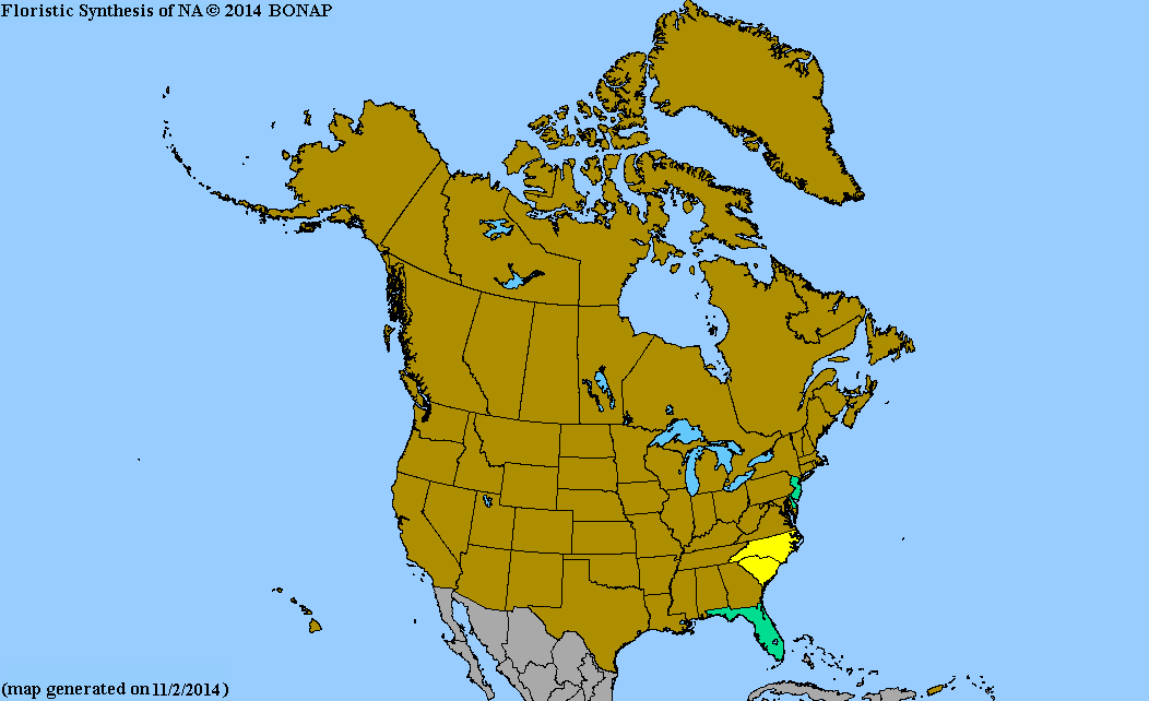 2013 BONAP North American Plant Atlas. TaxonMaps