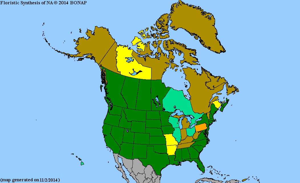 2013 BONAP North American Plant Atlas. TaxonMaps