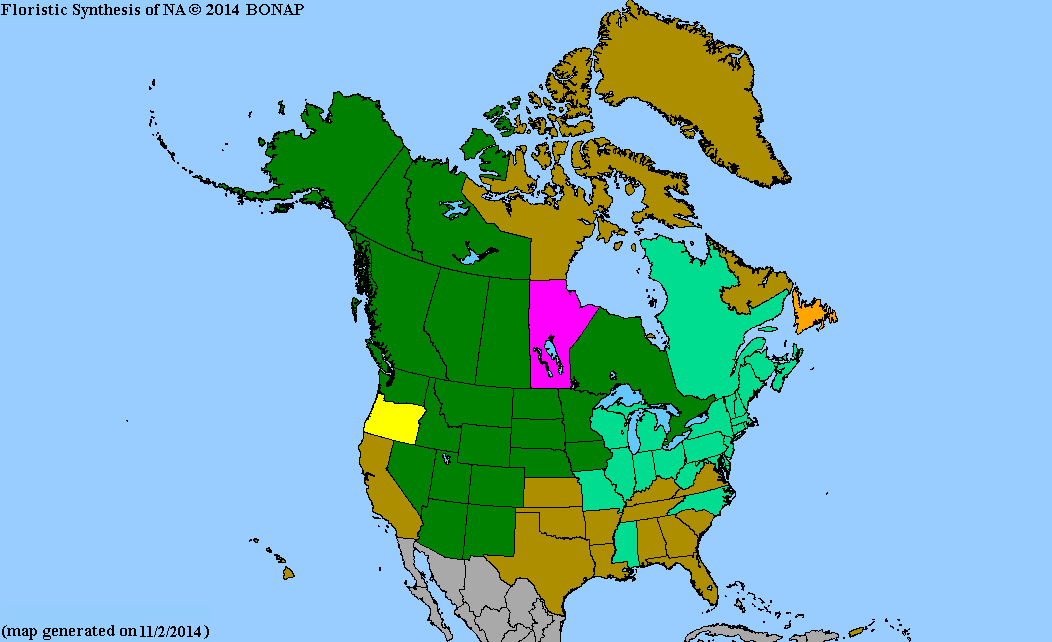 2013 BONAP North American Plant Atlas. TaxonMaps