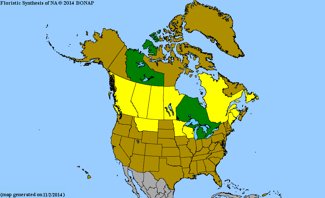 2013 BONAP North American Plant Atlas. TaxonMaps