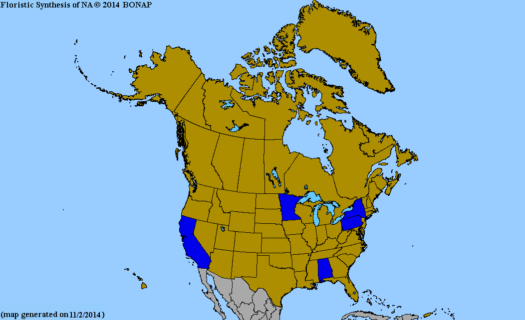 2013 BONAP North American Plant Atlas. TaxonMaps