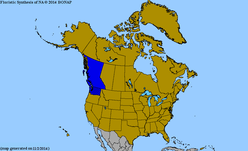 2013 BONAP North American Plant Atlas. TaxonMaps