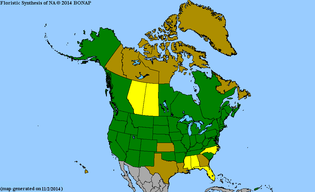 2013 BONAP North American Plant Atlas. TaxonMaps