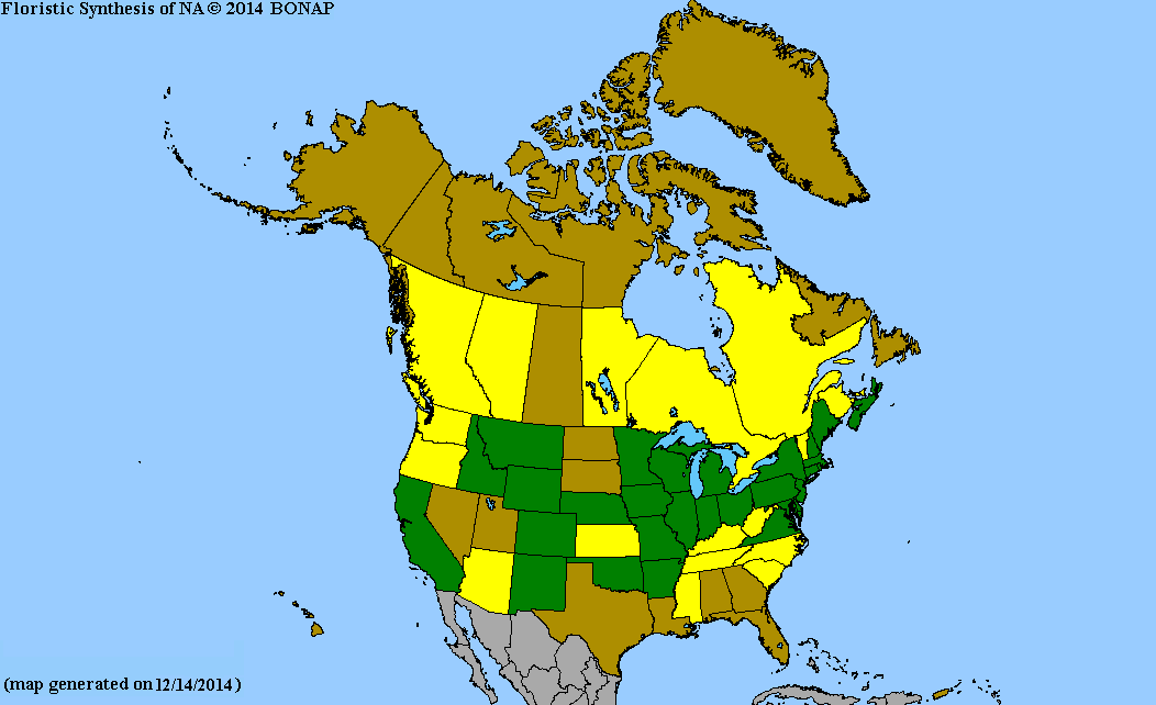 2013 BONAP North American Plant Atlas. TaxonMaps