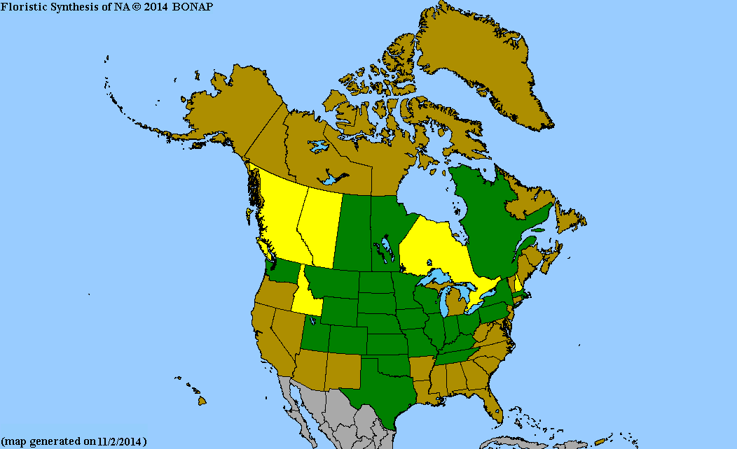 2013 BONAP North American Plant Atlas. TaxonMaps