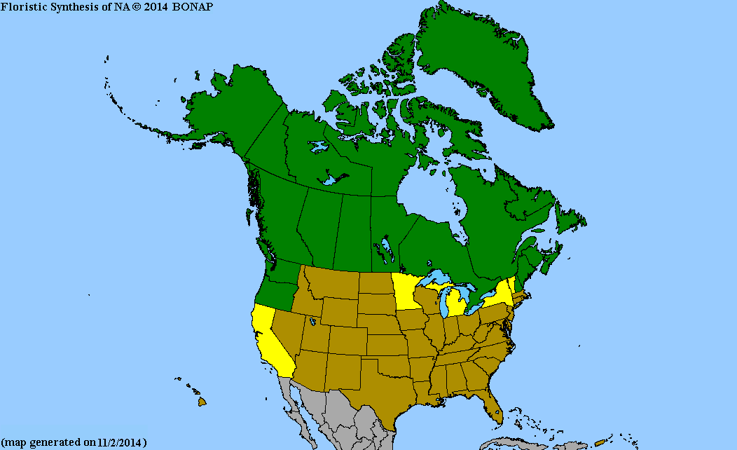 2013 BONAP North American Plant Atlas. TaxonMaps