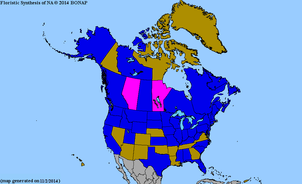 2013 BONAP North American Plant Atlas. TaxonMaps
