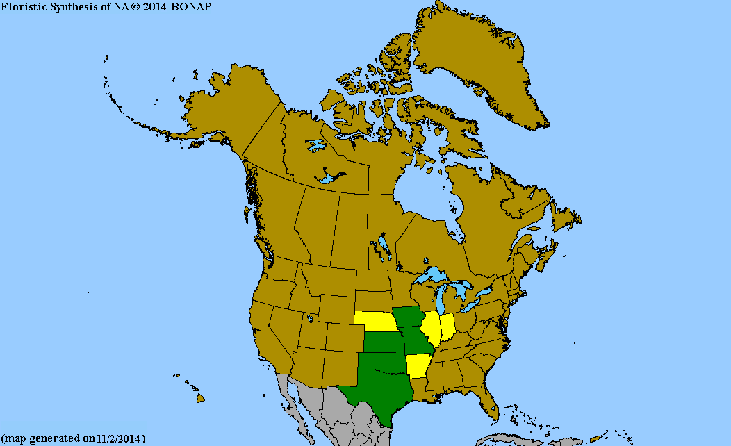 2013 BONAP North American Plant Atlas. TaxonMaps