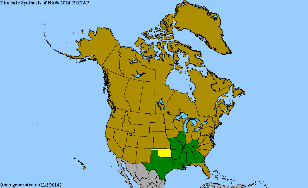 2013 BONAP North American Plant Atlas. TaxonMaps