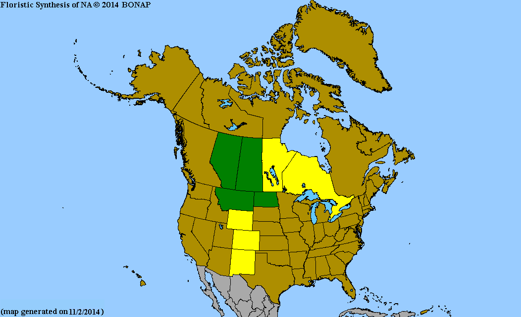 2013 BONAP North American Plant Atlas. TaxonMaps