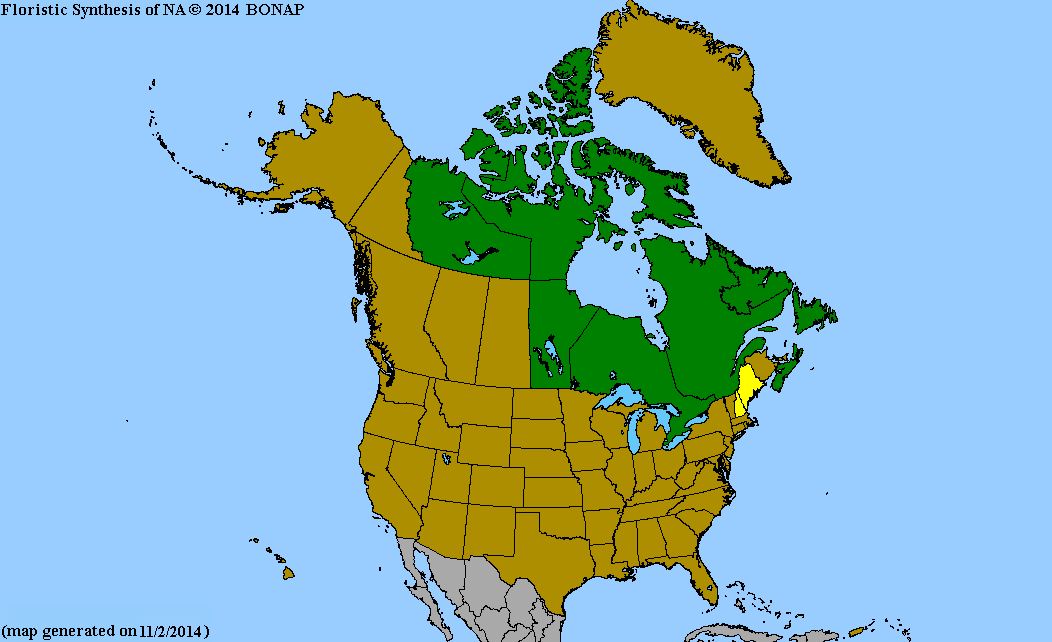 2013 BONAP North American Plant Atlas. TaxonMaps